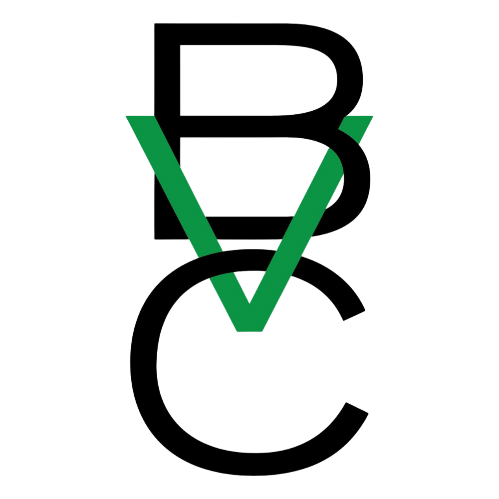 BVC - Venture Capital for Latin American Startups